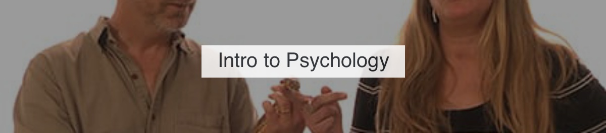 Reddit Comments On Intro To Psychology Udacity Course Reddacity