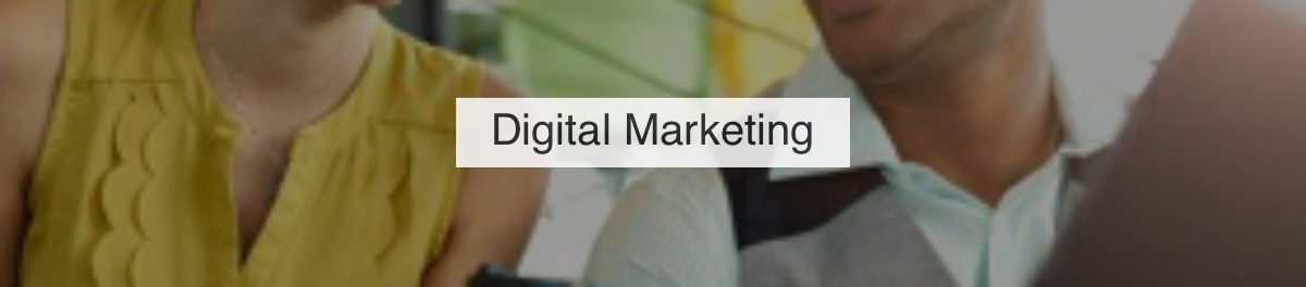 Reddit comments on "Digital Marketing" Udacity nanodegree | Reddacity